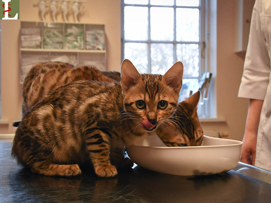 Schöne Bilder aus der Praxis