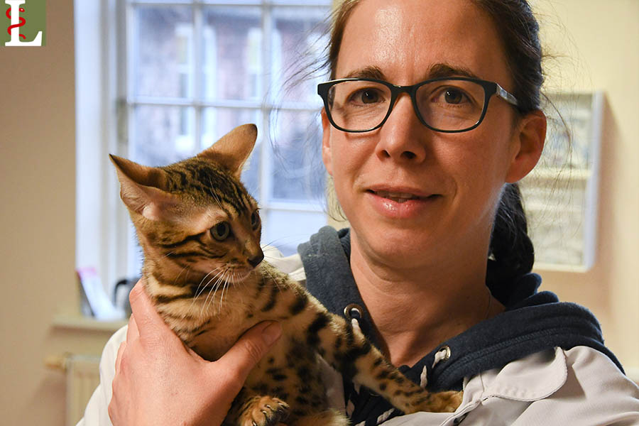 Schöne Bilder aus der Praxis