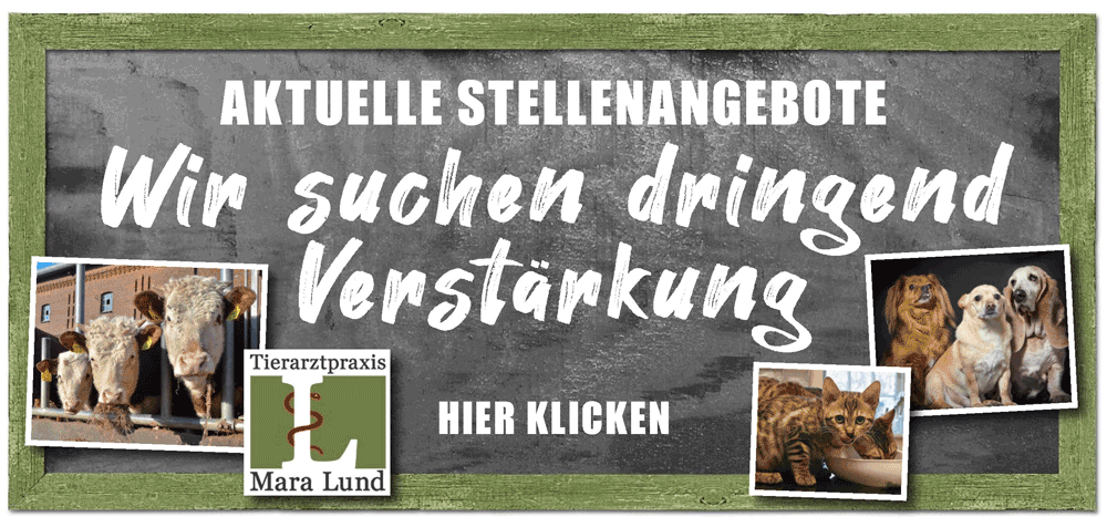 Willkommen in der Tierarztpraxis Mara Lund